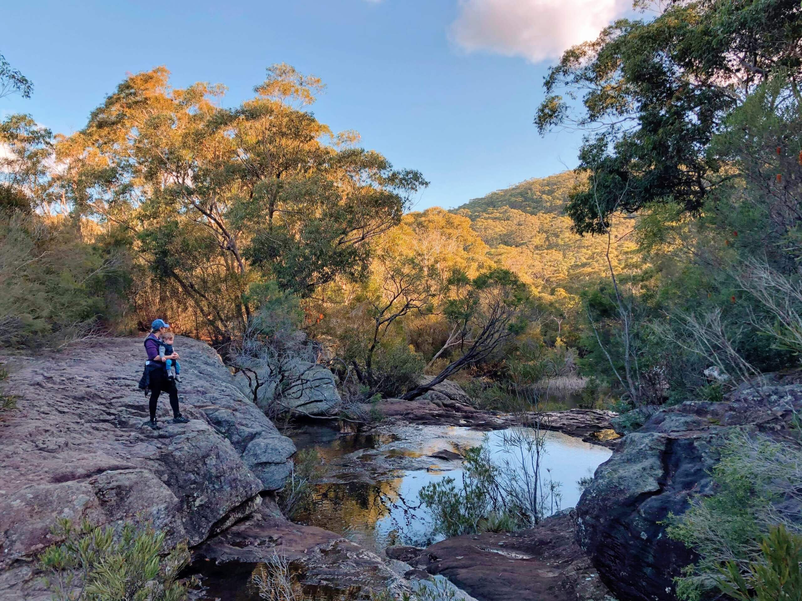 Kingfisher Pool - bushbambino